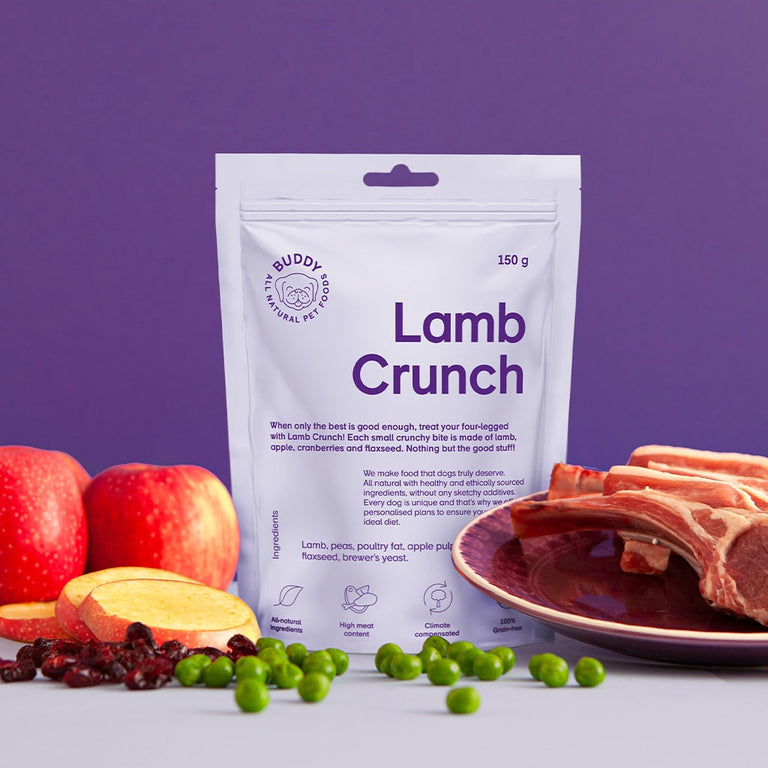 Lamb Crunch – Buddy Pet Foods